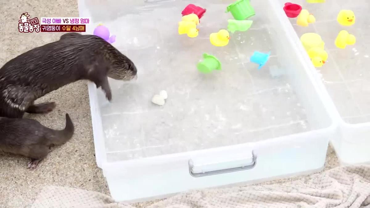 라이브 총시간 및 진행시간